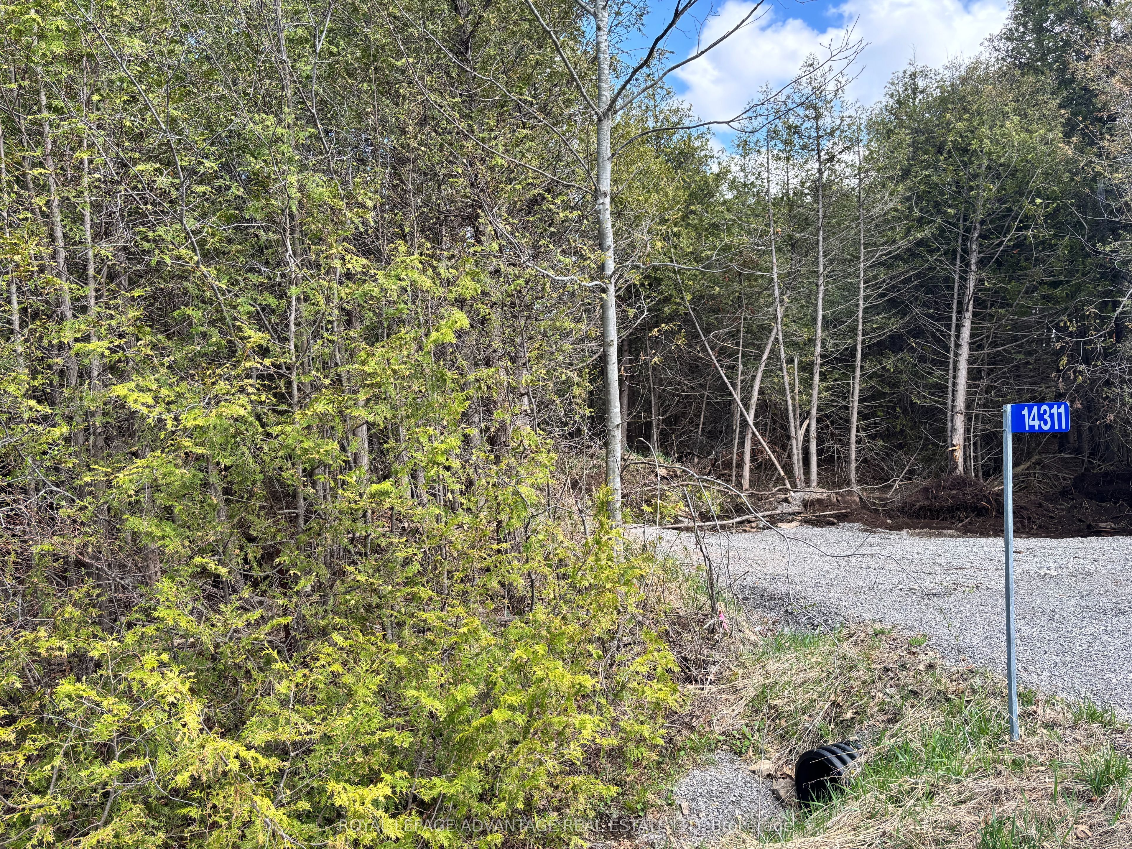 14311 Highway 15 Rd, Merrickville-Wolford, Ontario K0G1N0 For Sale ...